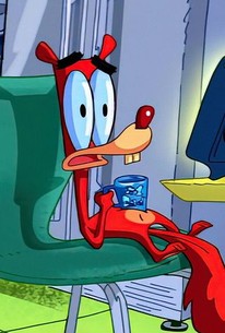 Squirrel Boy: Season 1, Episode 1 - Rotten Tomatoes