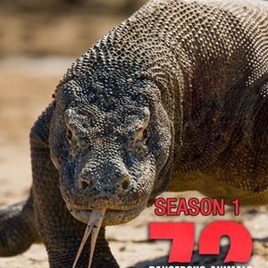 72 Dangerous Animals: Asia - Rotten Tomatoes