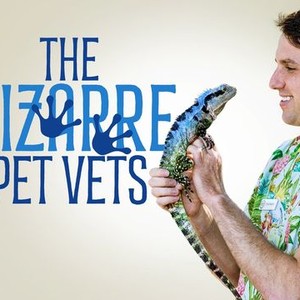 The Bizarre Pet Vets - Rotten Tomatoes