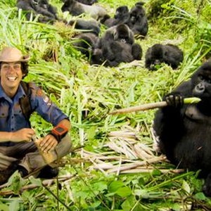 Andy's Wild Adventures: Season 1, Episode 6 - Rotten Tomatoes