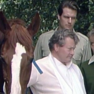 A Country Practice: Season 10, Episode 15 - Rotten Tomatoes