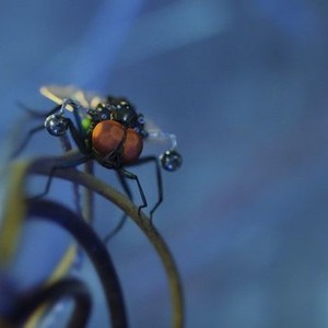 G-Force - Rotten Tomatoes