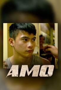 AMO | Rotten Tomatoes