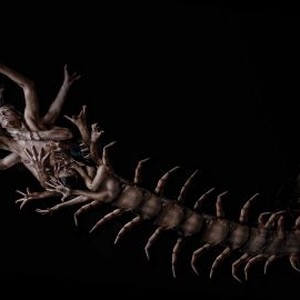 The Human Centipede II (Full Sequence) - Rotten Tomatoes
