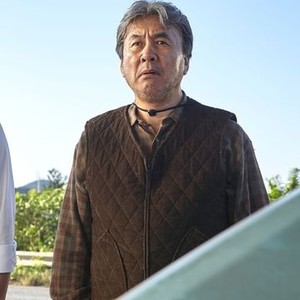 Stellar - Rotten Tomatoes