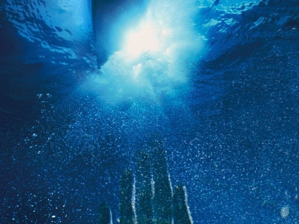 Open Water 2 True Story
