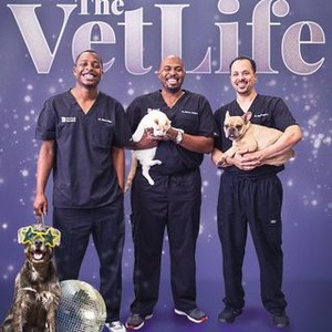 The Vet Life - Rotten Tomatoes