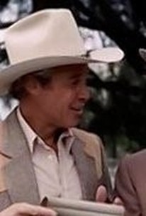 Dallas: Season 8, Episode 28 | Rotten Tomatoes