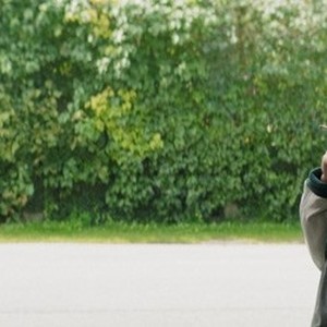 L'animale - Rotten Tomatoes