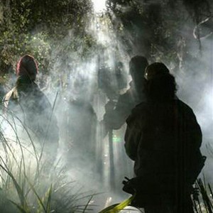 Hatchet - Rotten Tomatoes