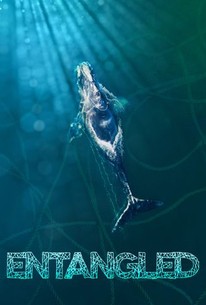 Entangled - Movie Reviews - Rotten Tomatoes