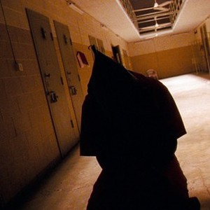 Standard Operating Procedure - Rotten Tomatoes