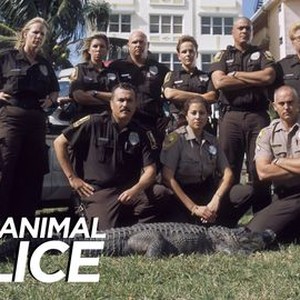 Rotten Tomatoes: Movies | TV Shows | Movie Trailers | Reviews - Rotten ...
