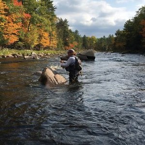 Land of Little Rivers - Rotten Tomatoes