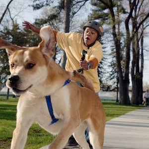 Life Is Ruff - Rotten Tomatoes