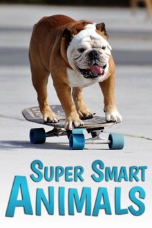super smart animals documentary