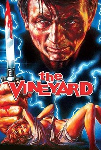 The Vineyard | Rotten Tomatoes
