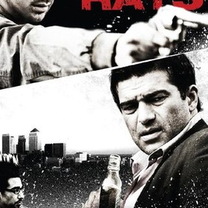 City Rats - Rotten Tomatoes
