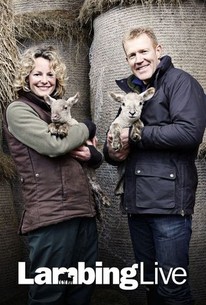 Lambing Live | Rotten Tomatoes