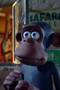 Creature Comforts: Season 1, Episode 3 - Rotten Tomatoes