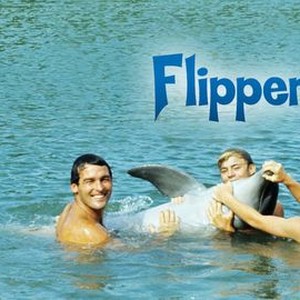 Flipper: Season 2, Episode 6 - Rotten Tomatoes