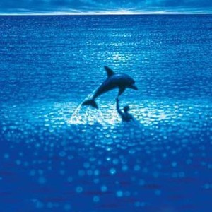 The Big Blue - Rotten Tomatoes