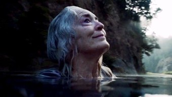 Freeland - Rotten Tomatoes