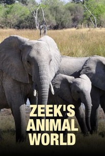 Zeek's Animal World | Rotten Tomatoes
