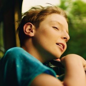 Summer Rebels - Rotten Tomatoes