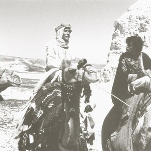 Michel Ray - Rotten Tomatoes