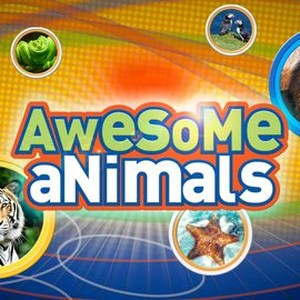 Awesome Animals - Rotten Tomatoes
