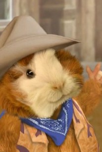 The Wonder Pets!: Season 2, Episode 18 - Rotten Tomatoes