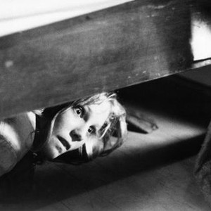 Amy Steel - Rotten Tomatoes