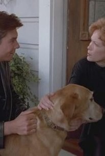 Sliders - Season 3 Episode 4 - Rotten Tomatoes