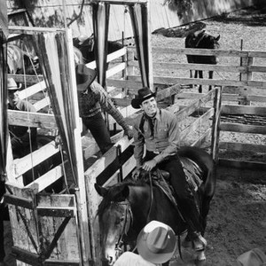 Tom Tryon - Rotten Tomatoes