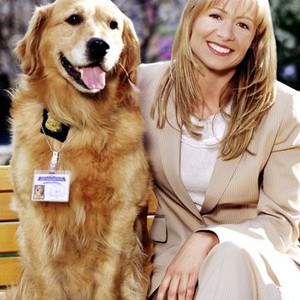 Sue Thomas F.B.Eye - Rotten Tomatoes