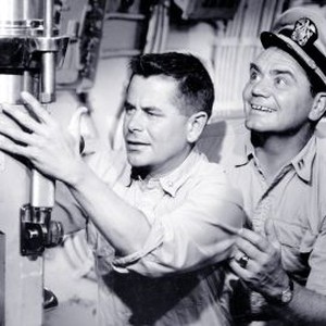 The One and Only - Rotten Tomatoes