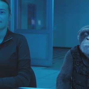 C.I.Ape - Rotten Tomatoes
