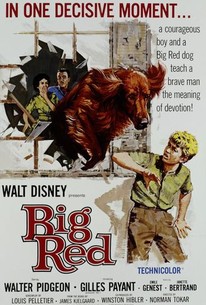 Big Red | Rotten Tomatoes