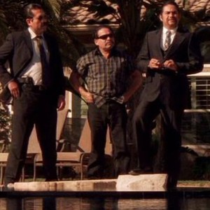 Cage Fight - Rotten Tomatoes