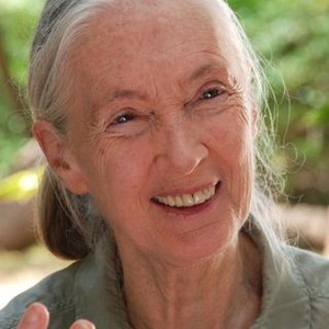 Jane's Journey - Rotten Tomatoes