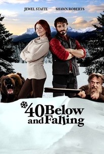 40 Below and Falling | Rotten Tomatoes