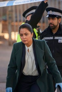 DI Ray: Season 1, Episode 1 | Rotten Tomatoes