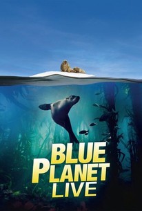 Blue Planet Live: Season 1 | Rotten Tomatoes