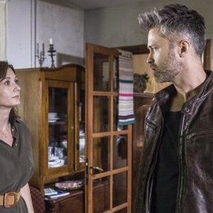 Fierce - Rotten Tomatoes