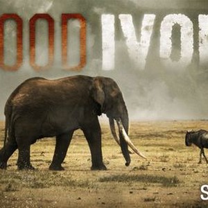 Blood Ivory - Rotten Tomatoes