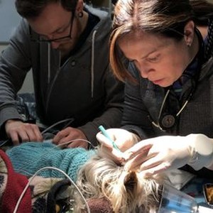 Animal ER Live: On Call: Season 1, Episode 2 - Rotten Tomatoes