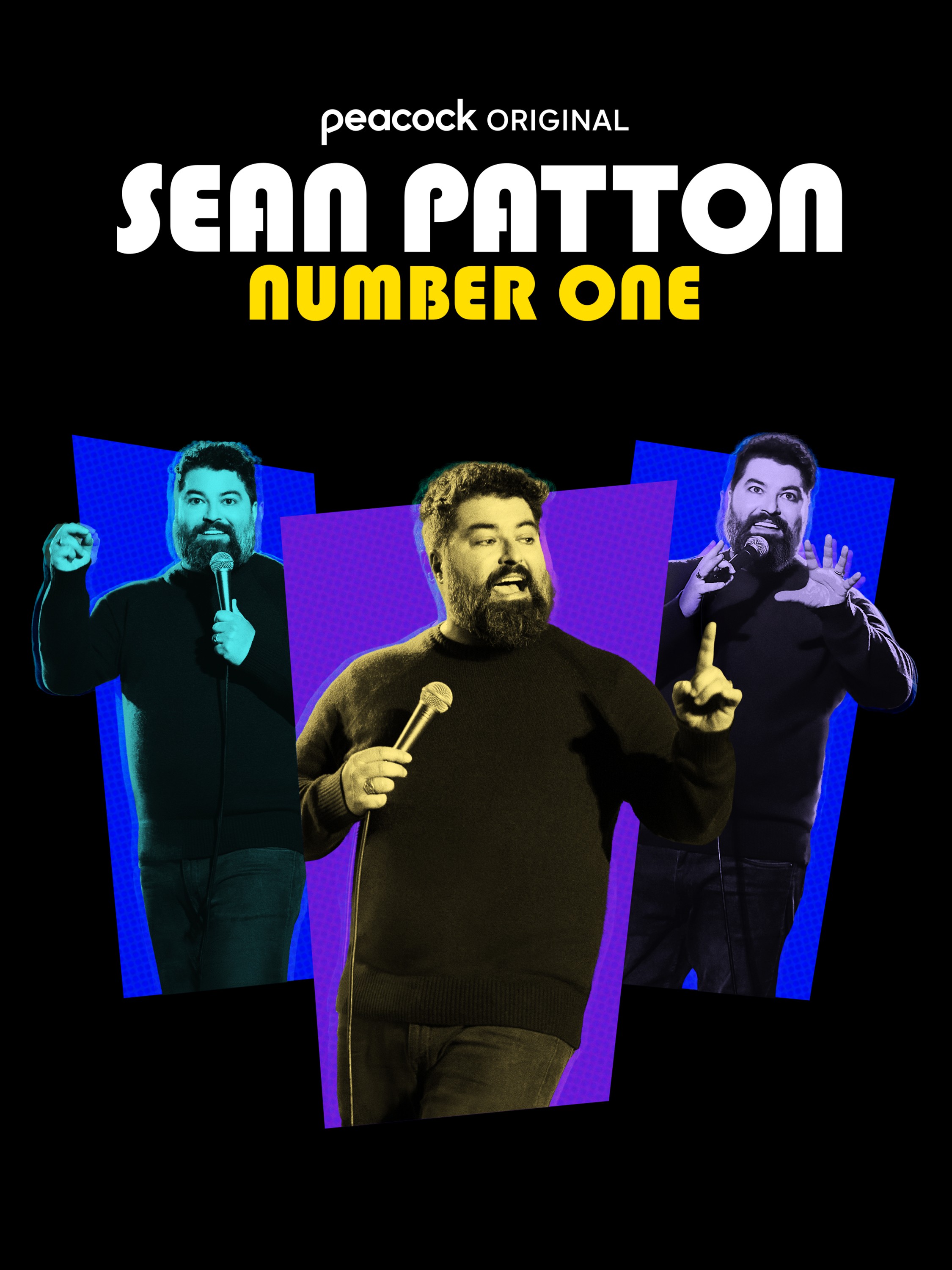 Sean Patton: Number One | Rotten Tomatoes