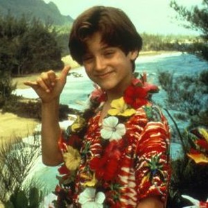 North - Rotten Tomatoes