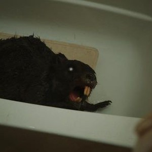 Zombeavers - Rotten Tomatoes